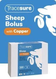 TRACESURE SHEEP WITH COPPER 50 BOLUS PR4240 AVM GSL