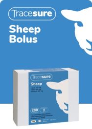 TRACESURE SHEEP 50 BOLUS PR4239 AVM GSL