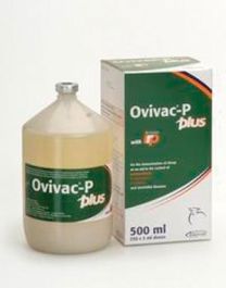 Ovivac® P Plus Vaccine for Sheep | Clostridial and Pasteurella Protection