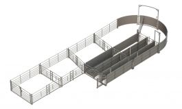 Sheep Handling System D Plus