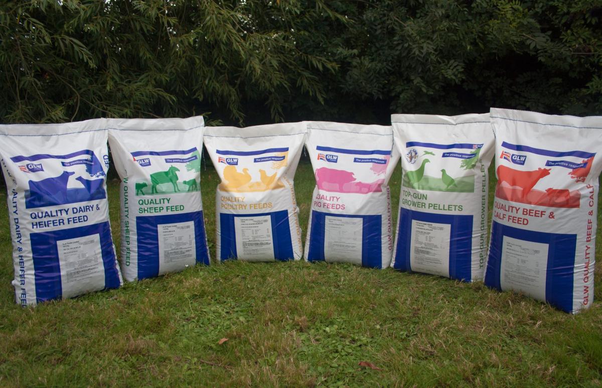Best Winter Feed For Cattle at Blanca Kathleen blog