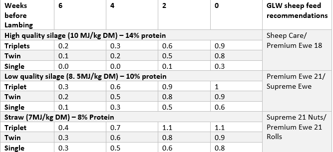 Pre-Lambing Diet for Ewes | Stowag